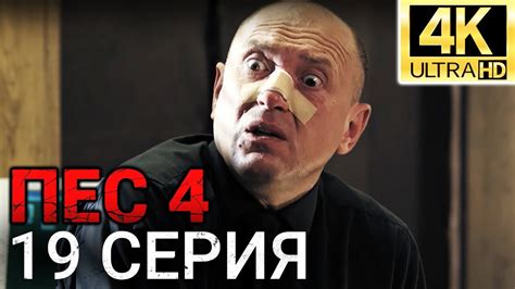 Сериал ПЕС 4 сезон 19 серия Все серии подряд в 4К Смотреть онлайн