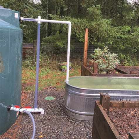 DIY Rainwater Collection System Grit