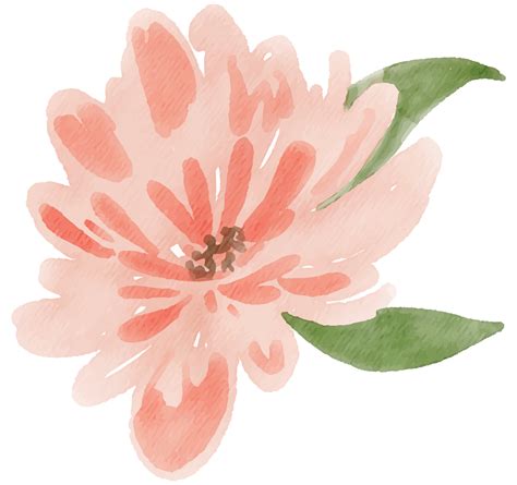 Dusty Peach Watercolor Flowers Clipart Floral Watercolor Clip Art Png