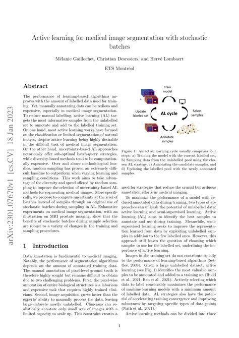 pdf active learning for medical image segmentation with stochastic batches