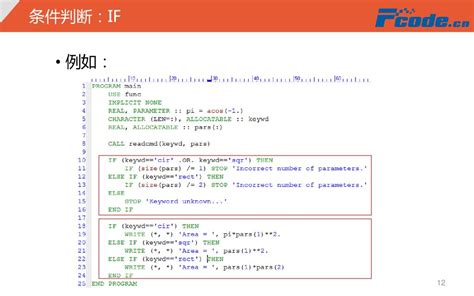 fortran 实用编程 系列视频教程 fortran coder 研讨团队 ppt download