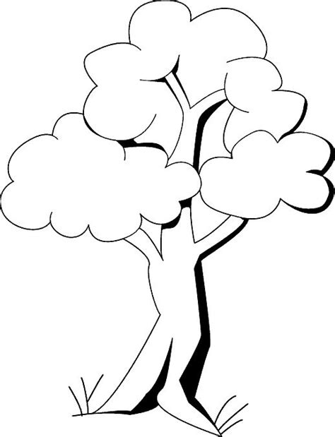 Naturaleza Dibujos Faciles Para Dibujar Para Ni Os Colorear Tree