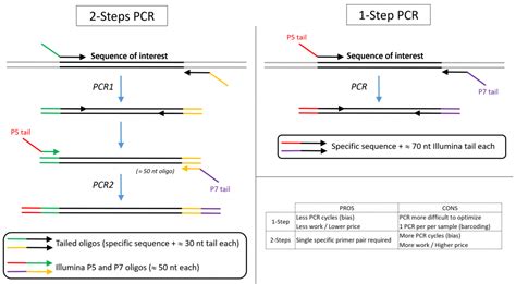 illumina sequencing library preparation lausanne genomic technologies facility