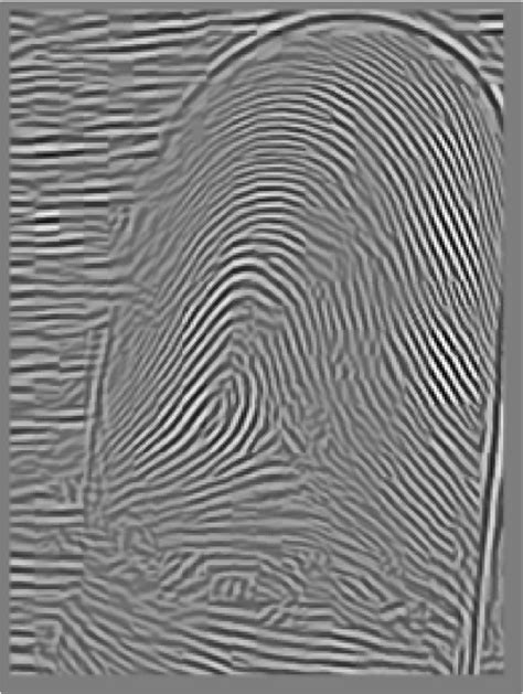 final image after fingerprint enhancement download scientific diagram