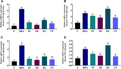 Expression Of Nuclear Factor Kappa B Nf B And Tumor Necrosis