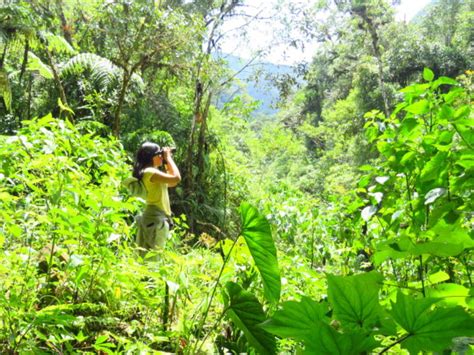 Mongabay Latam Las Entrevistas Que Impactaron En El 2019