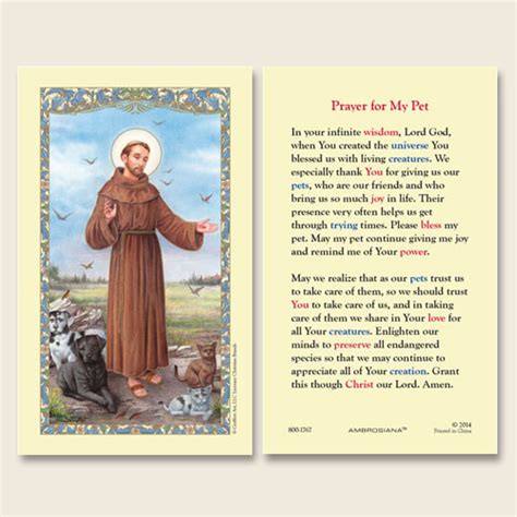St Francis Of Assisi Pet Prayer Laminated Holy Card Pack