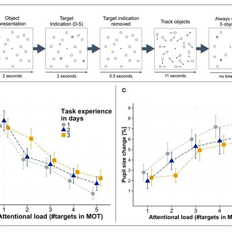 a multiple object tracking mot task trial logic first several download scientific