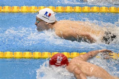 Championnats Du Monde De Natation