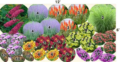 Perennial Garden Design Zone 5 Image To U