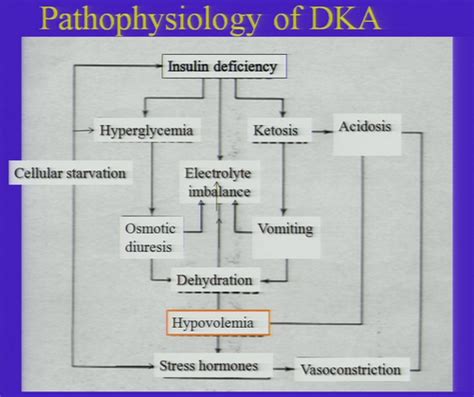 Acute Complications Of DM Flashcards Quizlet