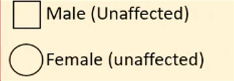 POM Genetics Pedigrees And Risk Flashcards Quizlet