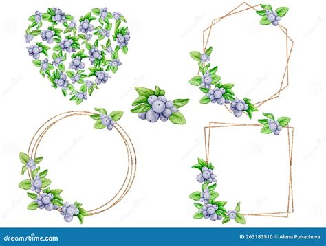 Set Of Designs And Elegant Golden Frames With Greenery And Blue Berries
