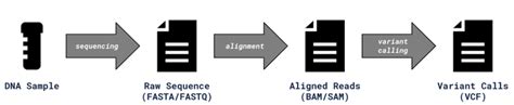 what is a variant call format vcf file — precision oncology solutions genomoncology