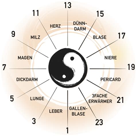 Chinesische Organuhr Eine Reise durch den Körper