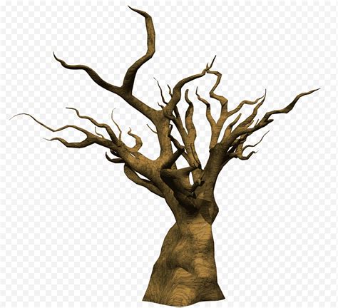 Descarga gratis Árbol muerto árbol desnudo marrón png Klipartz