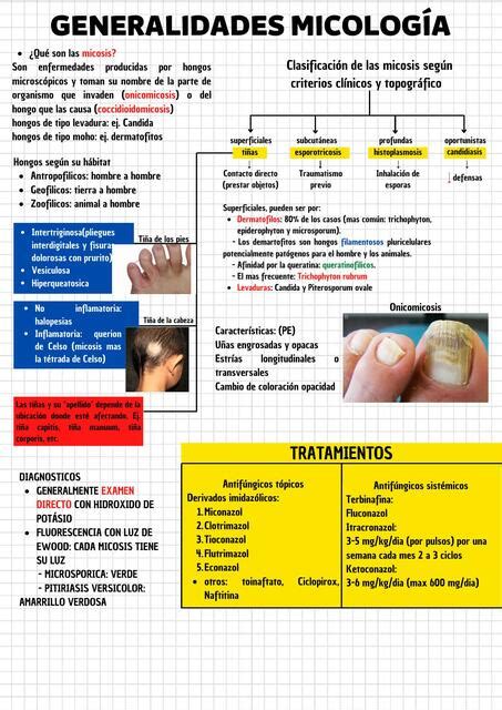 Generalidades Micología João Arteaga uDocz