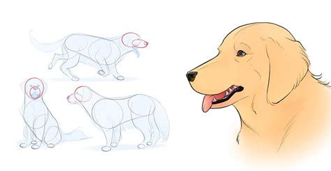 Descubrir 74 Aprende A Dibujar Un Perro Mejor Camera Edu Vn