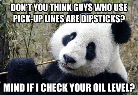 Pick Up Line Panda Memes Quickmeme Panda Bear Giant Panda Panda Meme