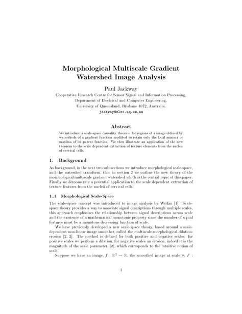 pdf morphological multiscale gradient watershed image analysis