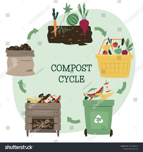 Compost Life Circle Infographic Composting Process Stock Vector
