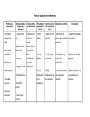 tarea 2 2 Plan de cuidado de enfermería docx Plan de cuidado de
