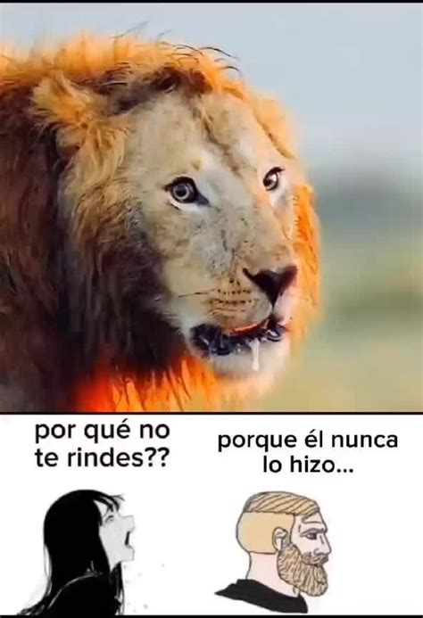 León viejo chad Meme subido por lobojavi Memedroid