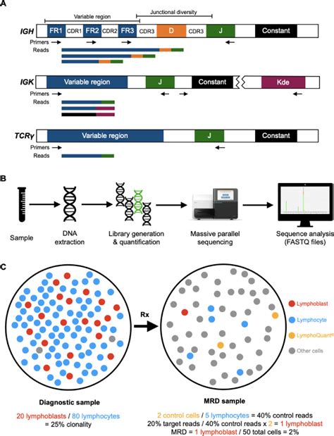 Laboratory Validation And Clinical Utility Of Next Generation