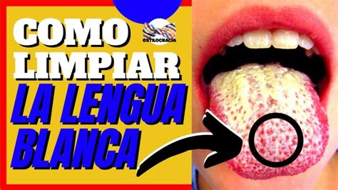 Y tú Limpias tu lengua 2024 Actualizado diciembre 2024
