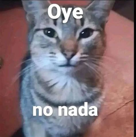 oye no nada en 2023 Imágenes divertidas Imágenes graciosas Cómics