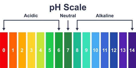 Gráfico escala de ph ácido neutro e alcalino Gráfico de escala de