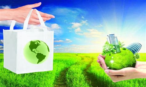10 Biện Pháp Bảo Vệ Môi Trường Đơn Giản Nhưng Ý Nghĩa