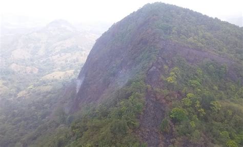 Consume incendio 40 hectáreas en faldas del cerro El Chato