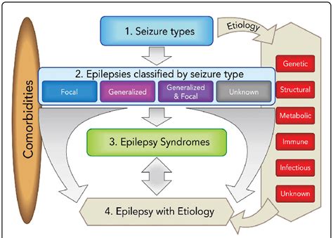framework for epilepsy classification [28] download scientific diagram