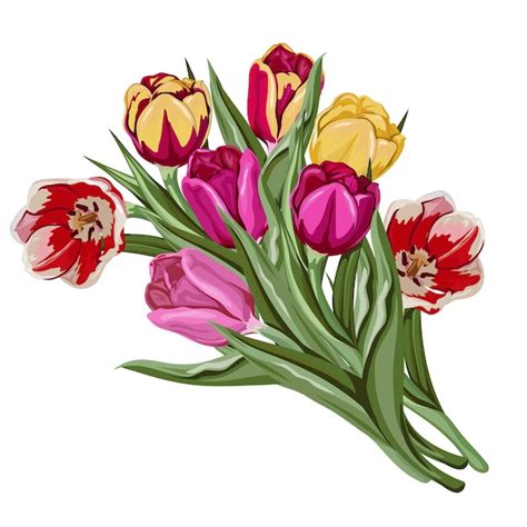 Tulpen blumen blumenstrauß vektor handgezeichnete illustration von