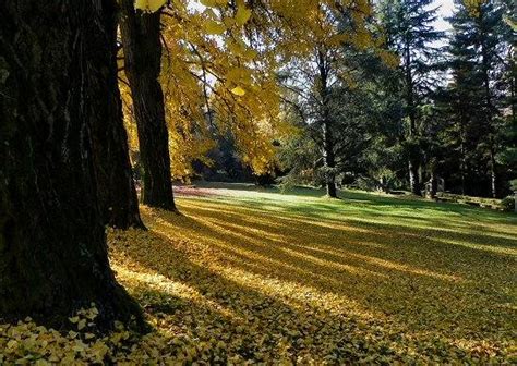 Tra Luce E Ombra VareseNews