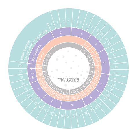 Creación Explicación destilación calculadora de semanas de embarazo y