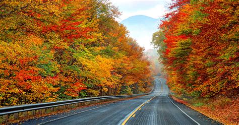 White Mountains Named Best Fall Foliage Destination In USA Today Poll