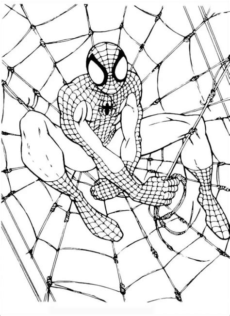 Foto Gratis de El hombre Araña para colorear imprimir e dibujar