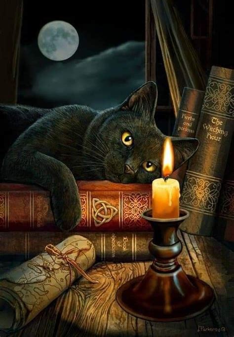 Pin by 𝓔𝓶𝓮𝓵𝓲𝓷𝓮 Nᴀɴᴀ ᴅᴇɴ on Halloween Black cat art Black cat