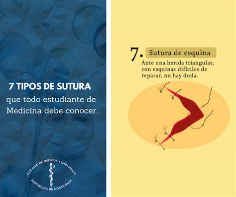EMS SOLUTIONS INTERNATIONAL Marca Registrada Guia Taller De Sutura Y 7