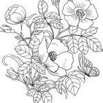 Desene De Colorat Cu Flori Si Plante Planse Cu Flori