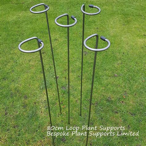Garden Outdoors 100cm Or 130cm Tall Metal Plant Supports Loop Stakes