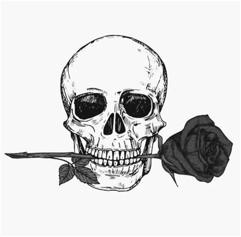 Skull And Rose Tattoo The Most Spectacular Designs