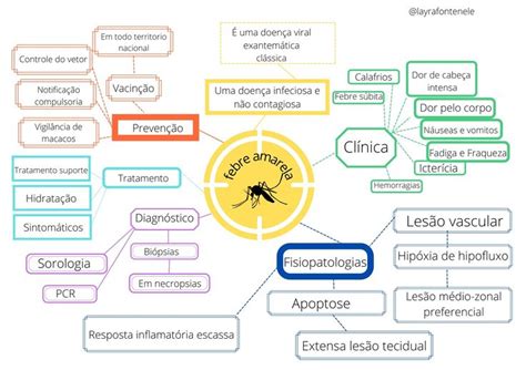 Mapa Mental De Febre Amarela Febre Amarela Mapas Mentais Tecnico Em