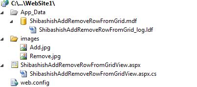 NET BRAINEE WINGS Adding And Removing Dynamic Rows In ASP Net