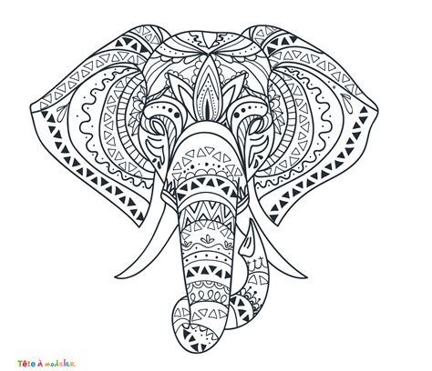 Coloriage éléphant 03 un dessin à imprimer de Tête à modeler