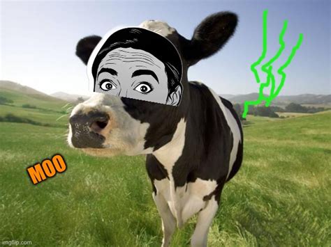 Bad Photoshop Sunday Presents Captain Oblivious Imgflip