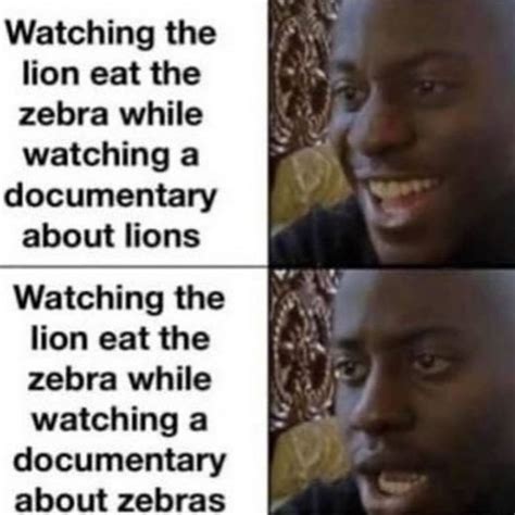 Watching The Lion Eat The Zebra While Watching A Documentary About