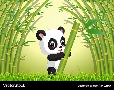Pandas With Bamboo